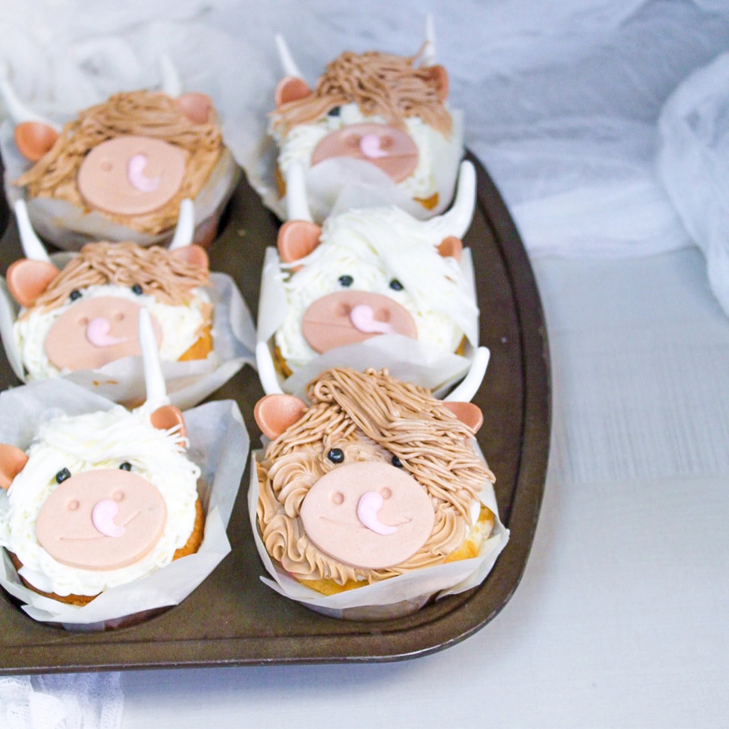 Highland Cow • Designer Cupcakes – Butterfly Bakery